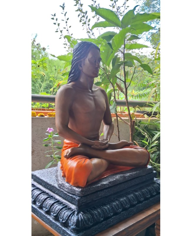 Kriya Babaji, Gorakh Baba, Mahavatar Babaji, Kriya Yoga, Meditation